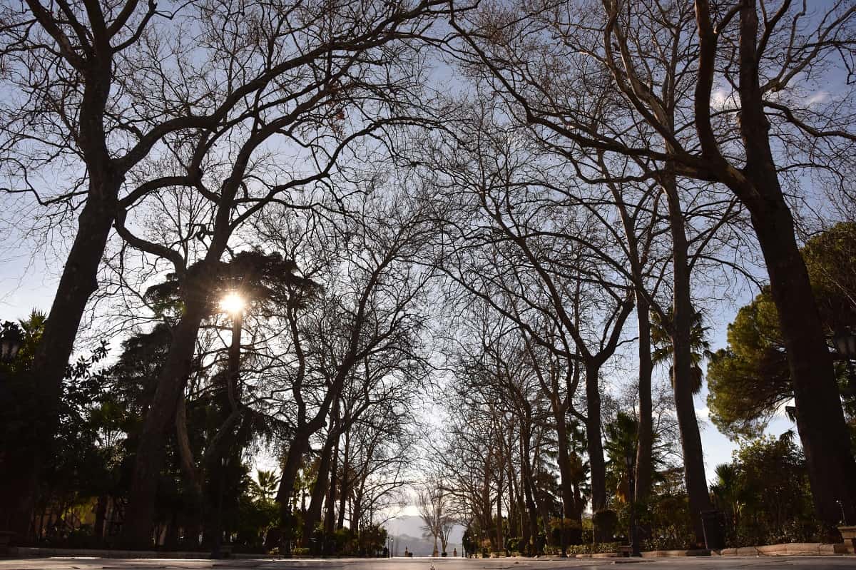 Ronda - Dan Blystone